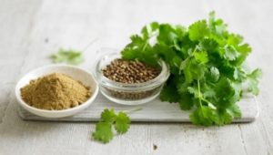 Кінза - корисні властивості та способи застосування